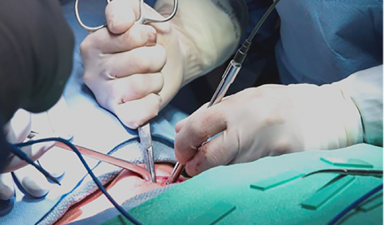 Surgical Aid Detects Parathyroid Tissue in Real-Time - Vanderbilt Discover