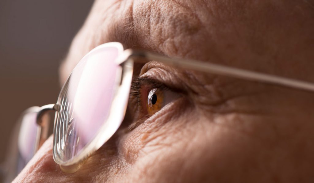 Discoveries In Medicine Low Vision Improving Management Strategies Discoveries In Medicine Low Vision Improving Management Strategies
