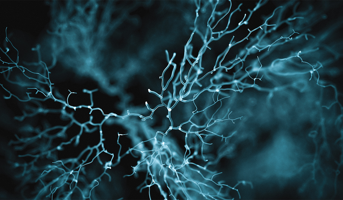 Exploring the Fear Response Underlying PTSD