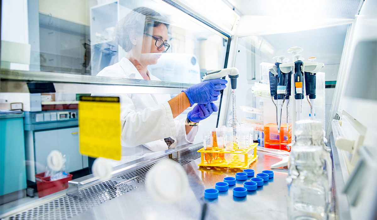 Assessing Model Systems for Renal Cell Carcinoma - Vanderbilt Discover