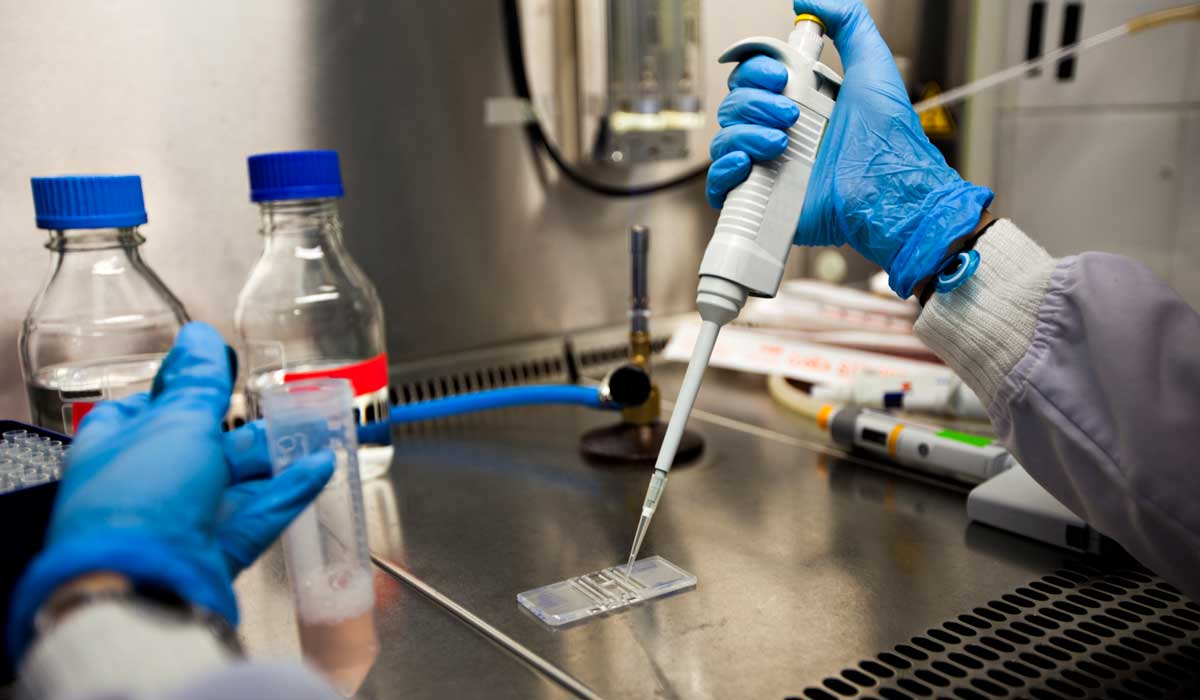 Discoveries in Medicine - Feedback Loop Links Inflammation and Depression