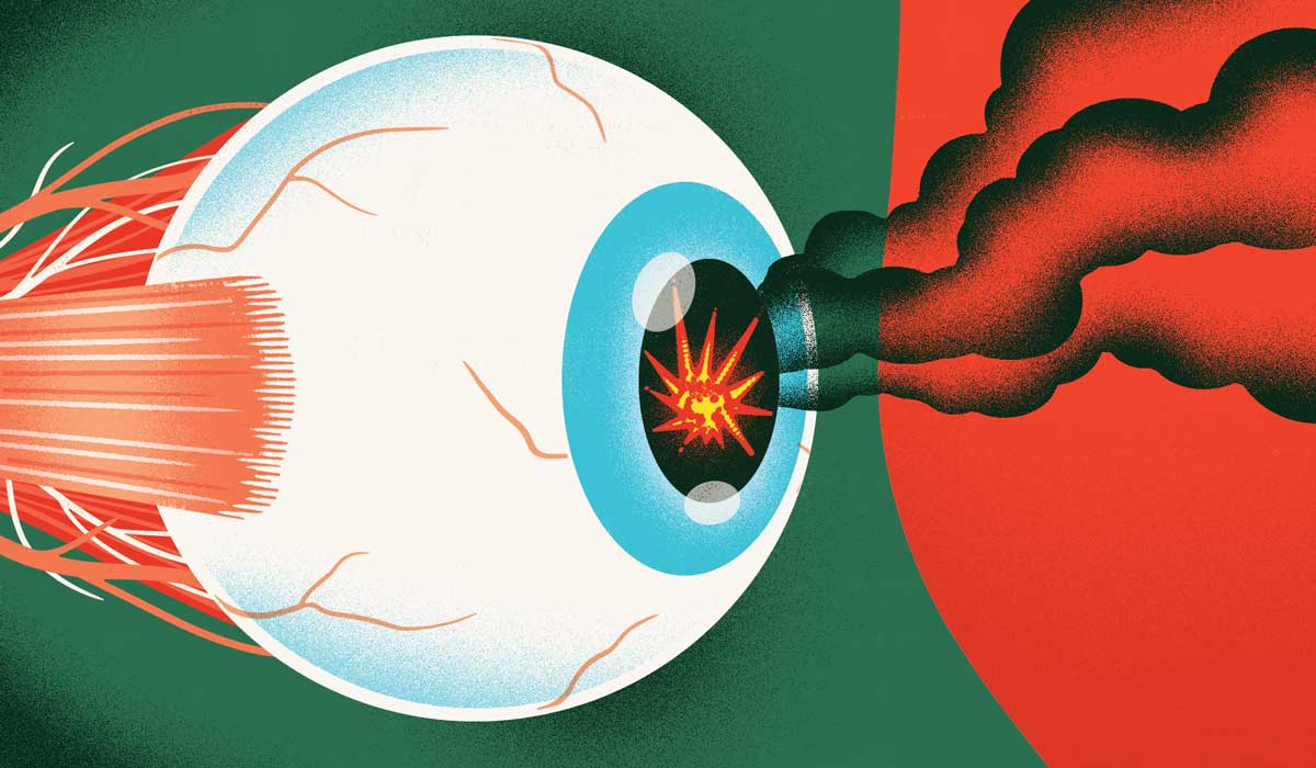 Discoveries in Medicine - Antioxidant Microparticles May Protect Vision ...