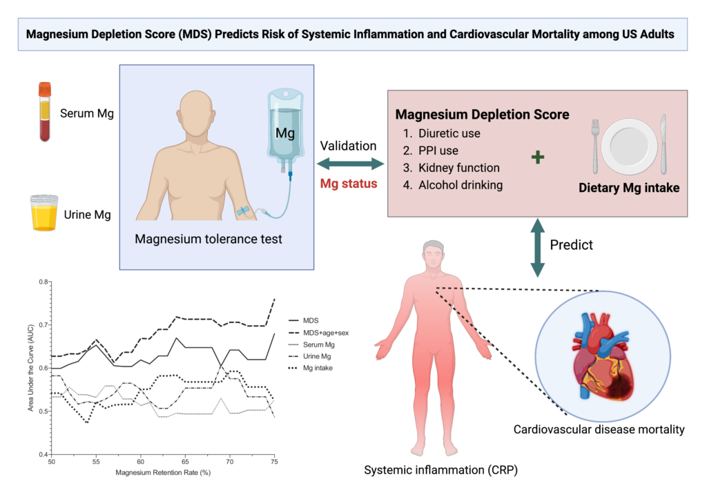 Discoveries in Medicine - Magnesium Depletion Score Highlights Risk Factors
