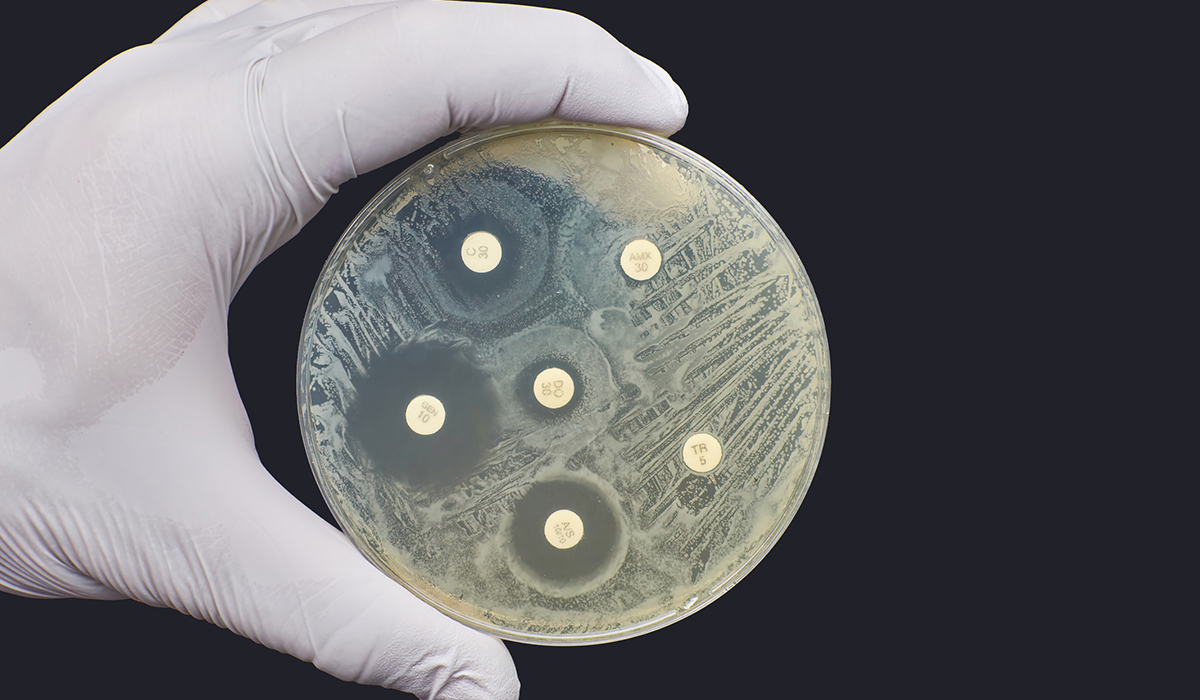 Discoveries in Medicine - Breakthrough Antibacterial Going from Bench ...