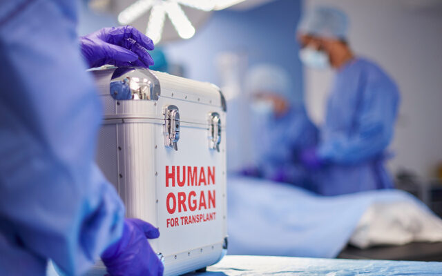 Discoveries in Medicine - Creating the First Implantable Bioartificial ...