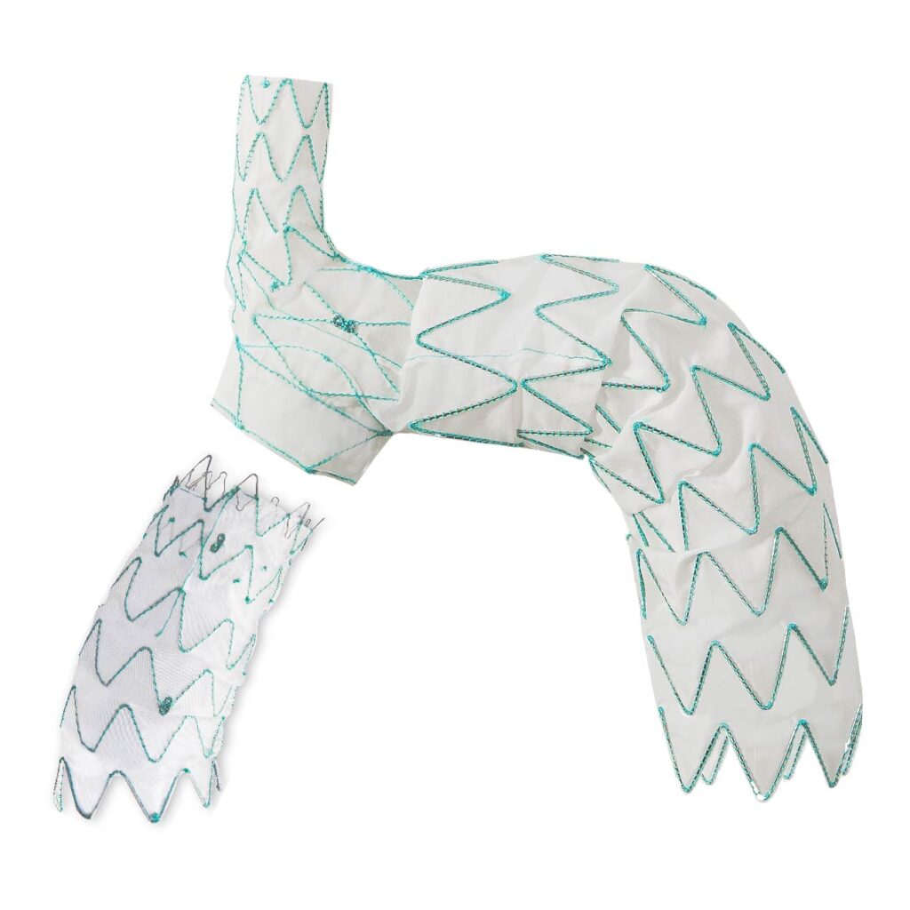 Discoveries in Medicine - Aortic Arch Stent Trial Hits Phase 3