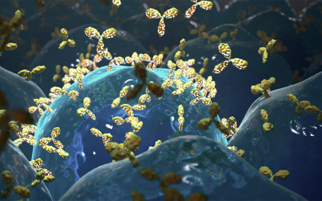 Discoveries in Medicine - Serologies Identify Myopathies Disguised as ...