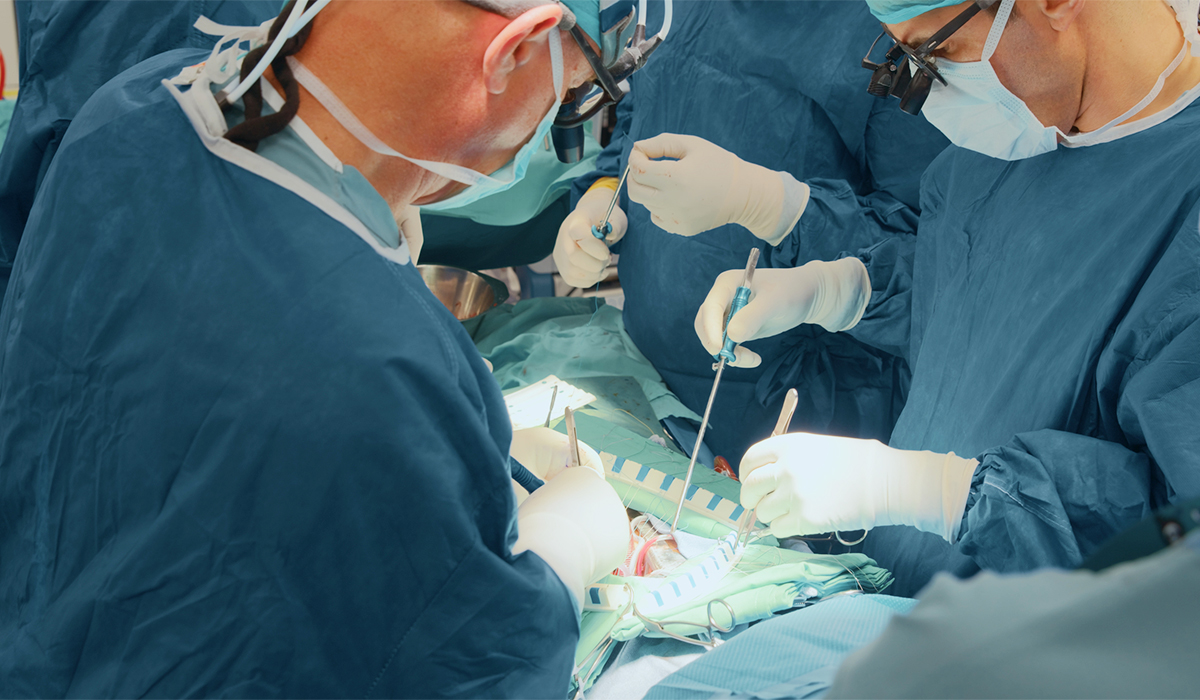 Discoveries in Medicine - Transcatheter Solutions Shift Heart Valve ...